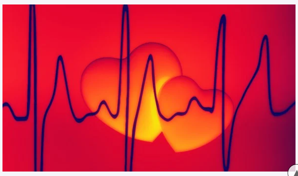 What are Bio Rhythms & Chrono Biological Rhythms Of Nature? – A ...